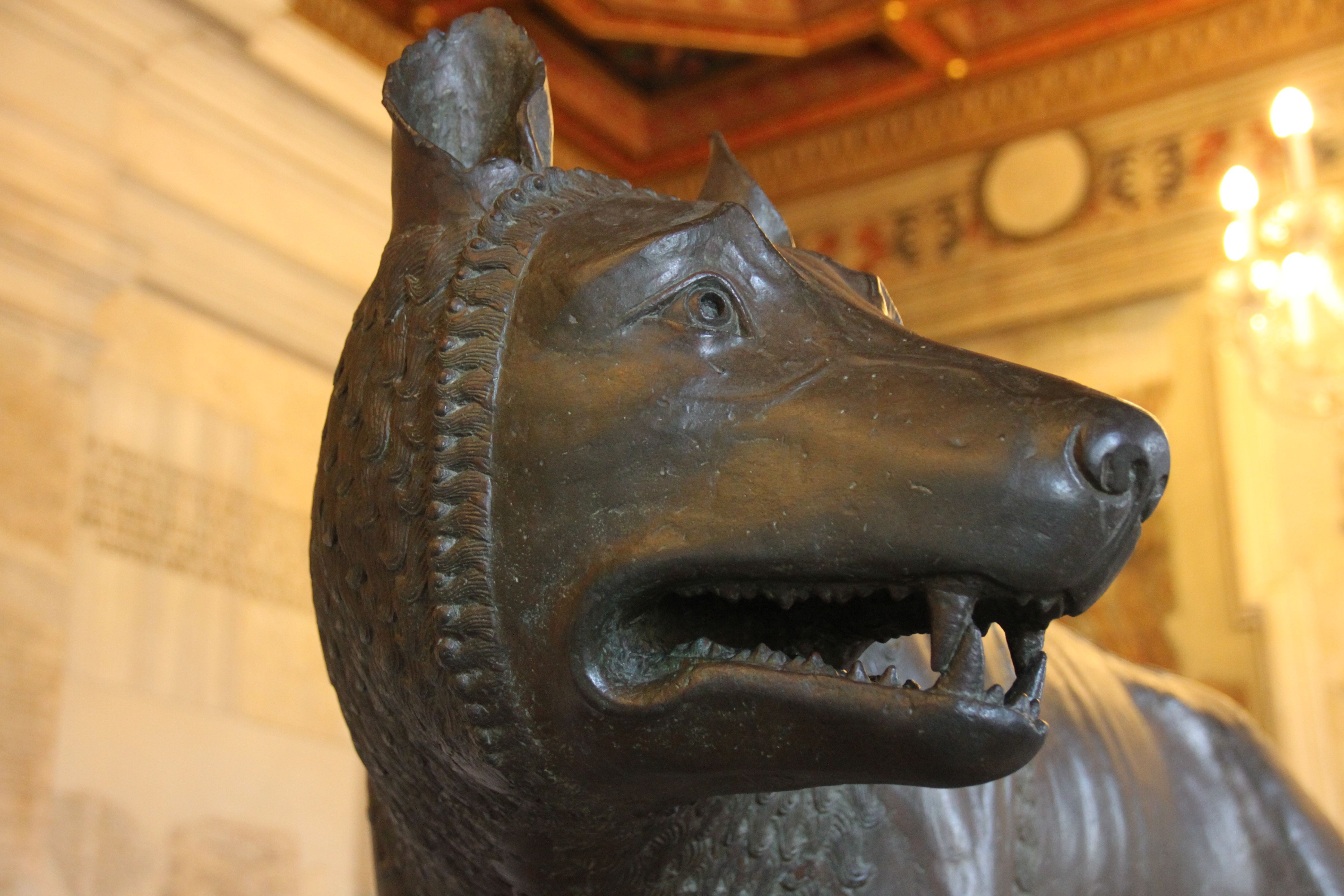 Rome, Musée du Capitole, la Louve Rome, Musée du Capitole, la Louve