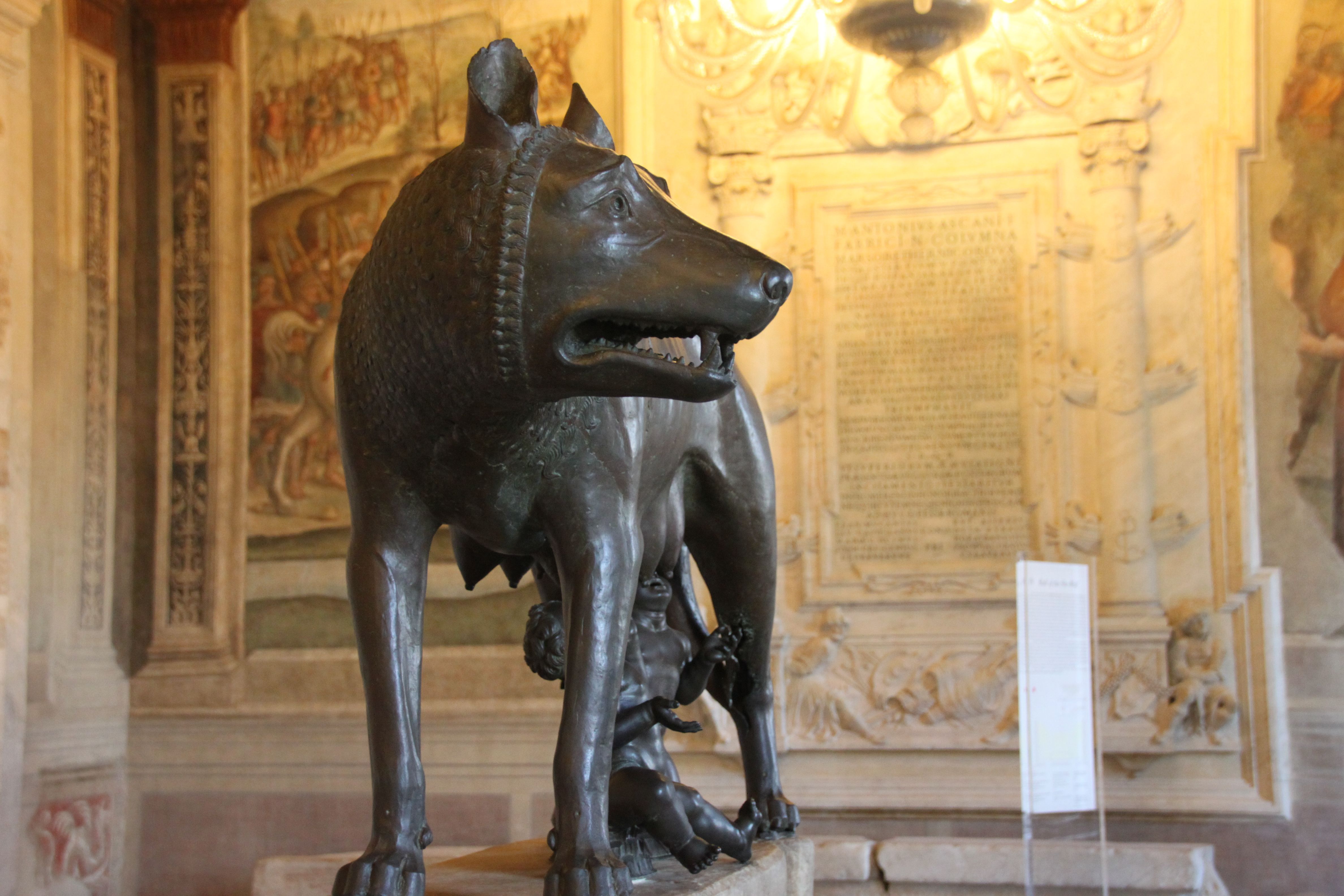 Rome, Musée du Capitole, la Louve Rome, Musée du Capitole, la Louve